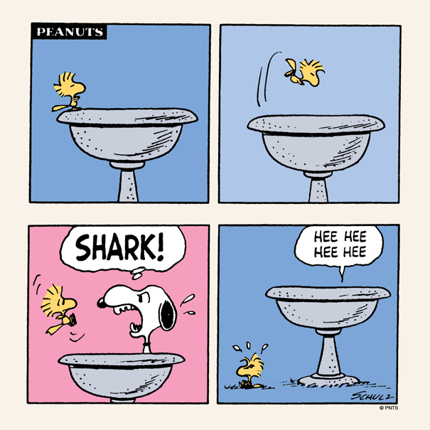 Shark – RUNNING GROOVE SHARK